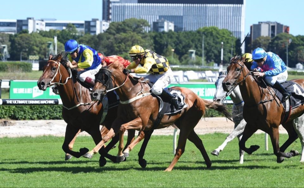 Newcastle Racing Tips for January 21 - Yukan Rose looks the goods ...