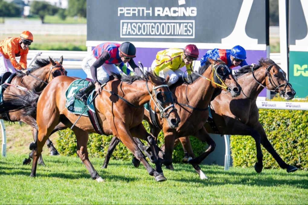 Ascot Racing Tips for January 25 - Sensessional is second-up and set to ...