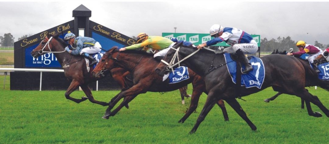 Scone Racing Tips for January 30 - Shadow Shot is well placed to record ...