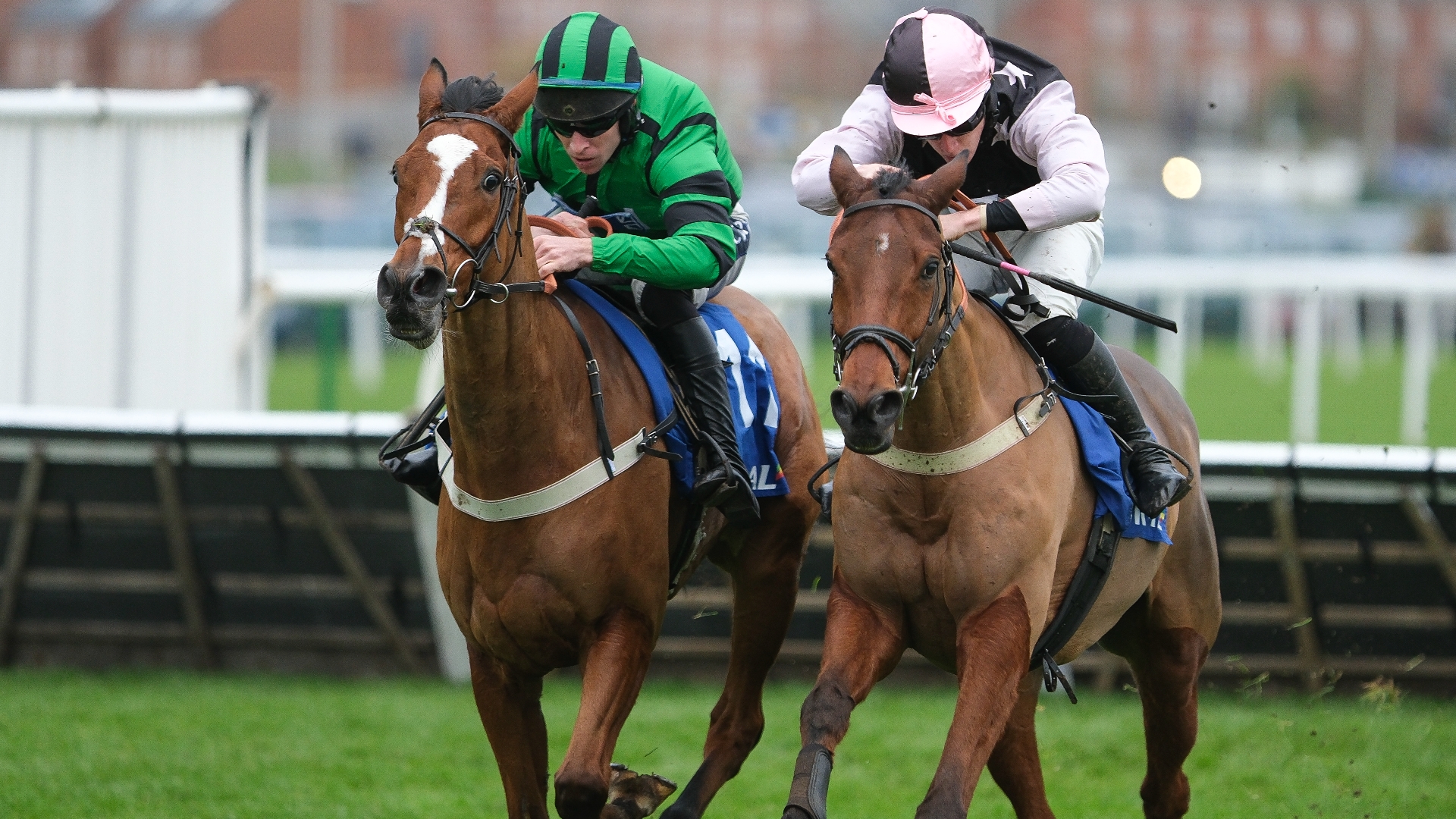 2025 William Hill Handicap Hurdle Tips | Odds, trends and two tips for ...