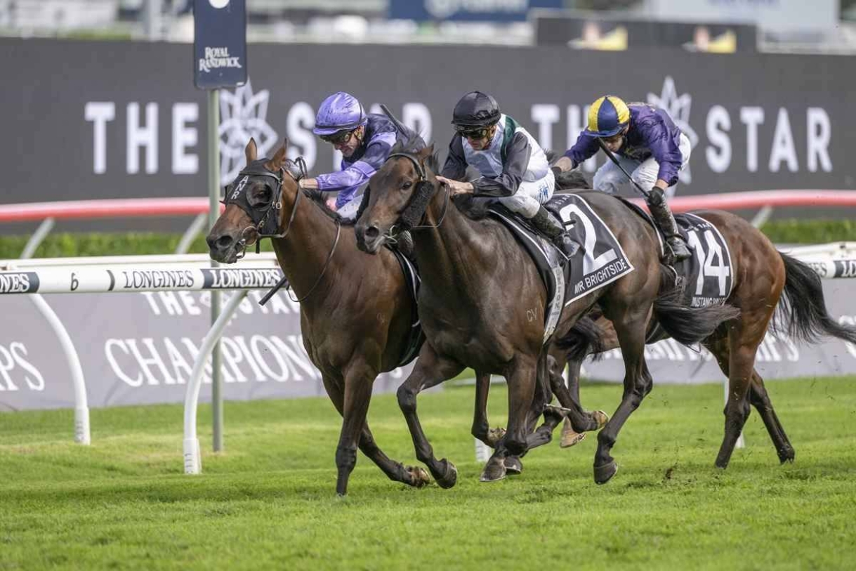 Randwick Racing Tips for February 8 - Headley Grange looks all set for ...