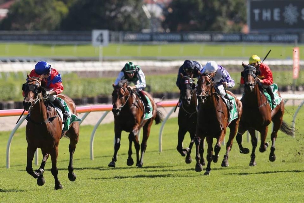 Newcastle Racing Tips for February 10 - Pensativa is well weighted for back-to-back success today