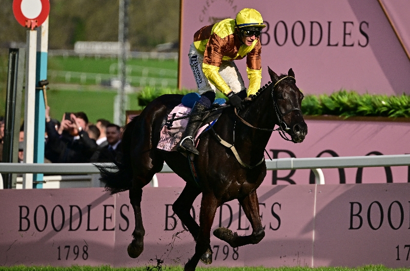 Cheltenham Festival 2025 | Key Races and Horses to Watch