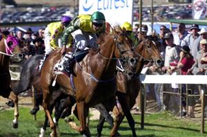 Oakbank Racing Tips for February 13 - Thebigsosso is ready to produce ...