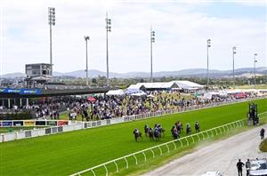 Pakenham Racing Tips for February 13- Paradise City to be hard to beat ...