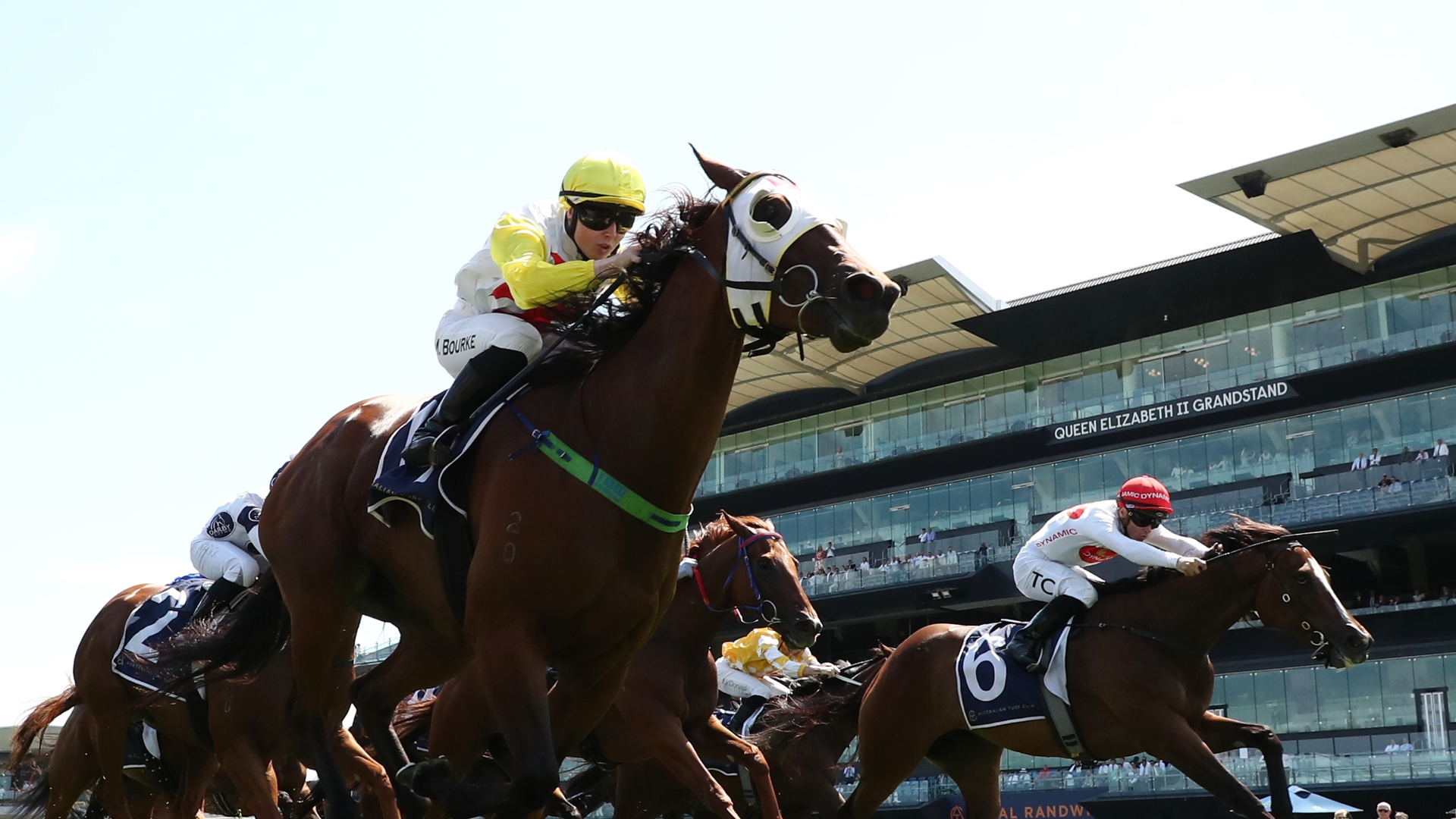 Randwick Racing Tips for February 15 - Lady Shenandoah looks the goods ...