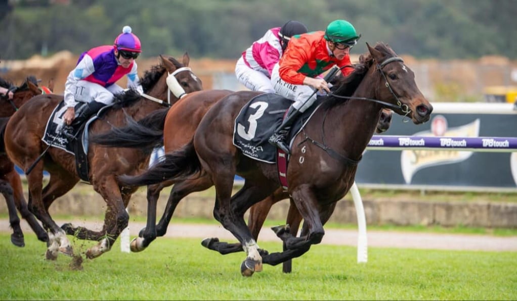 Strathalbyn Racing Tips for February 19 - Empire Grace can bounce back ...