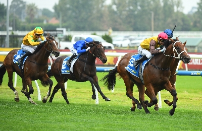 Australian Horse Racing Tips and Selections on every major race