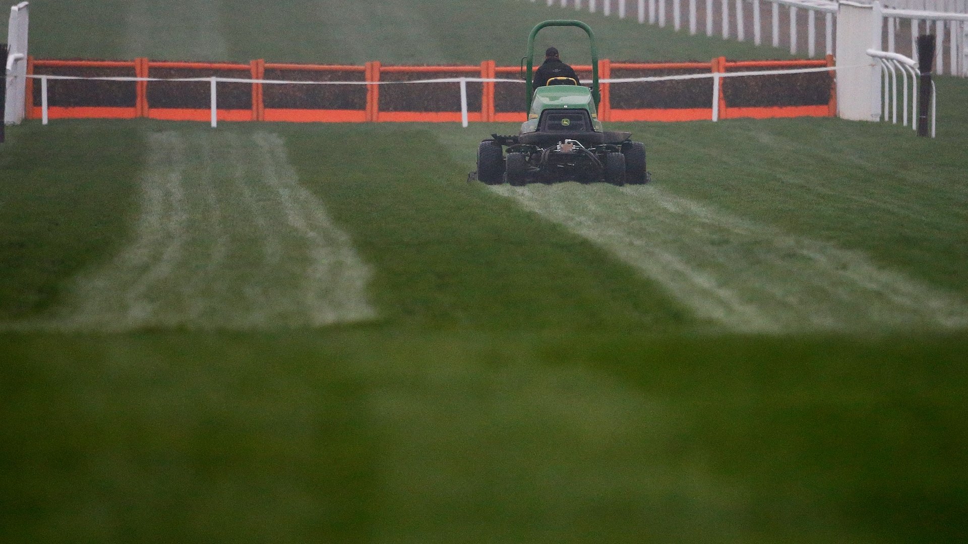 Racing News | Good-to-soft ground expected for the 2025 Cheltenham Festival