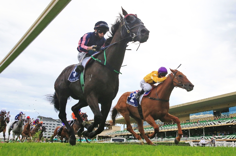 Warwick Farm Racing Tips for March 5 - Iconic Treasure can get the job ...