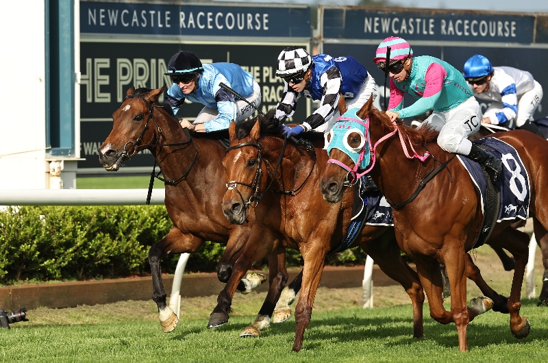 Newcastle Racing Tips for March 7 - Makarena looks ready to strike ...