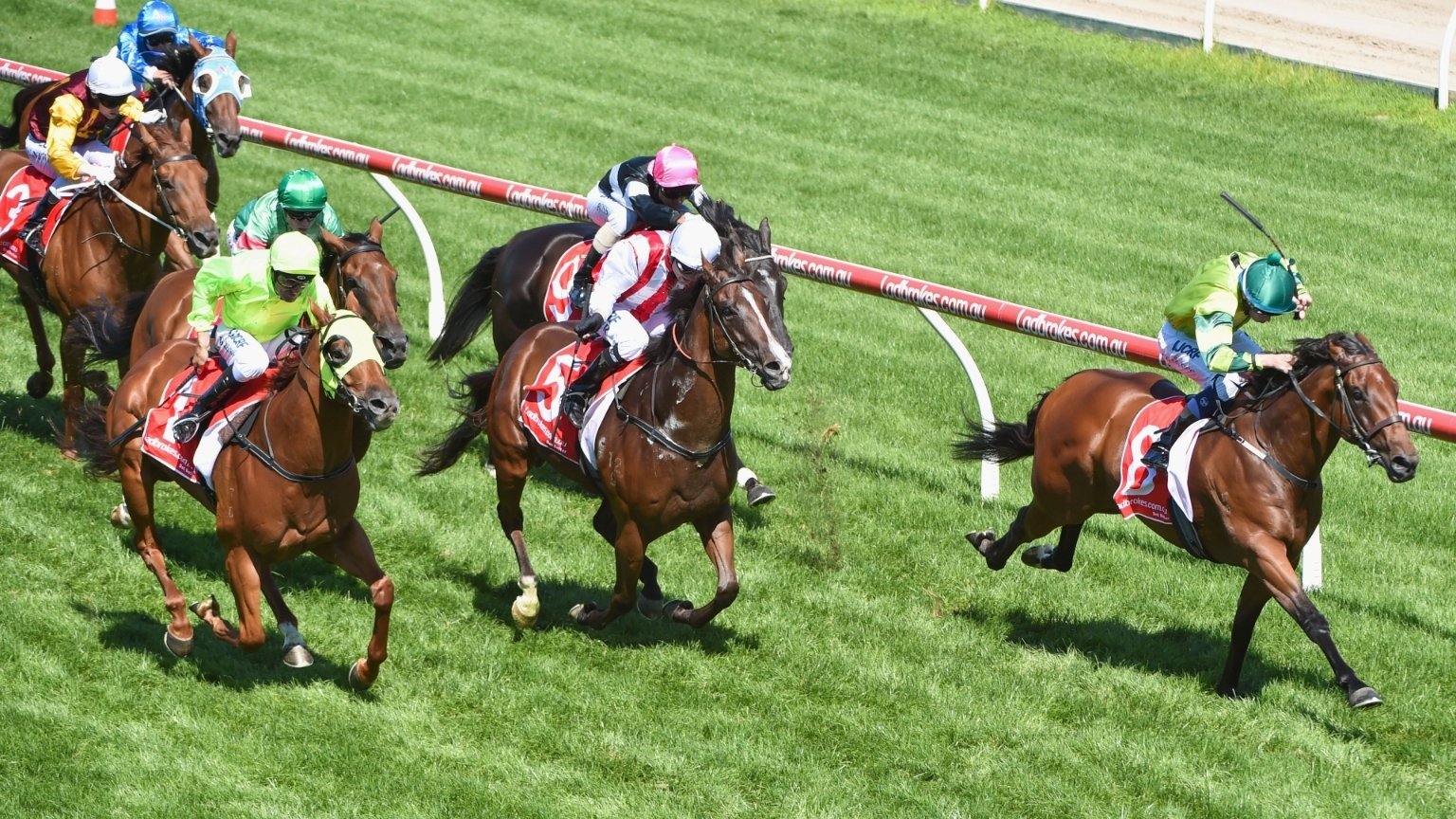 Bunbury Racing Tips for March 8 - Watch Me Rock looks well weighted for ...