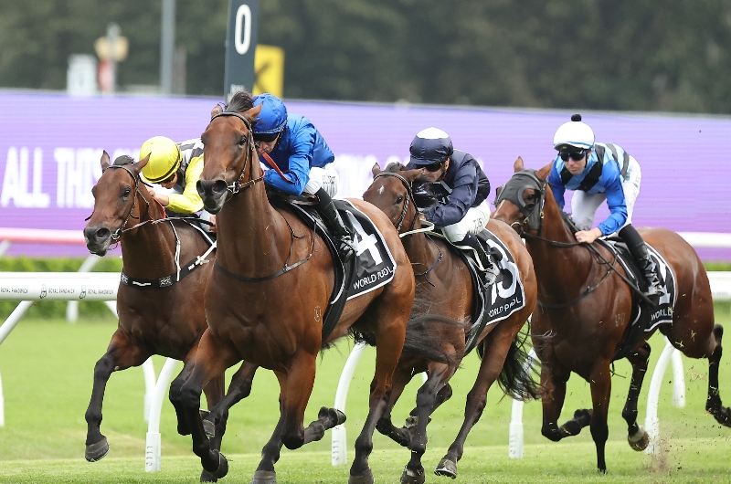 Tamworth Racing Tips for March 9 - Oenology is third-up and drawn to ...