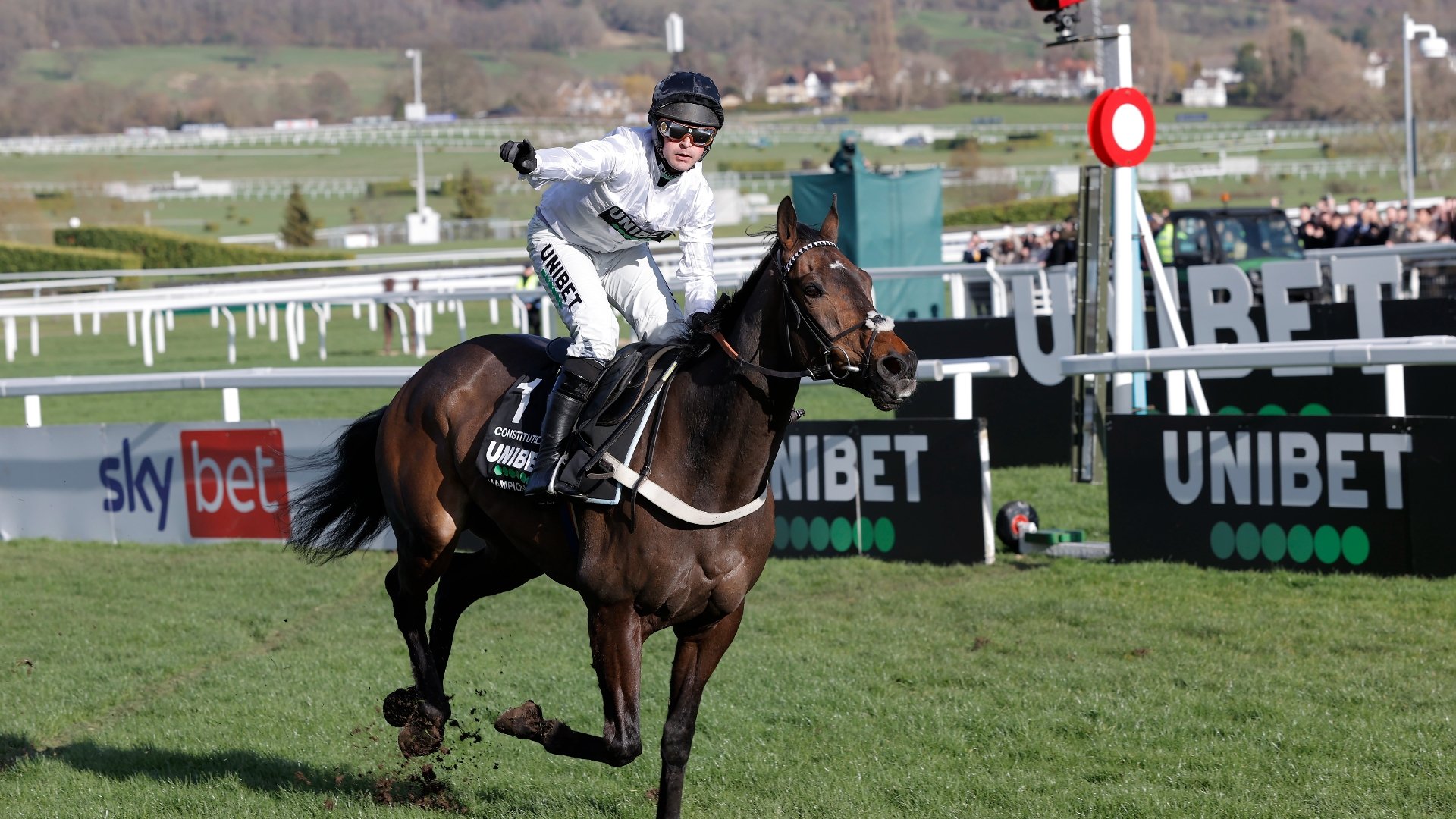Cheltenham Festival Day 1 Tips | Free tips for every race on Champions Day