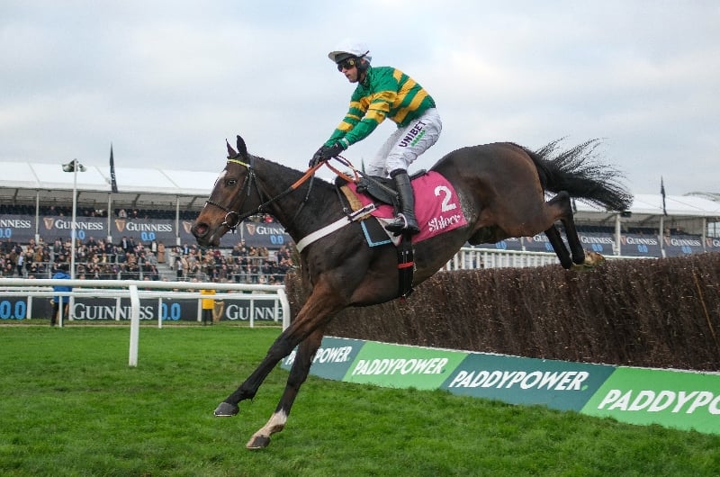 Cheltenham Day 2 Declarations | Jonbon heads field of eight for ...