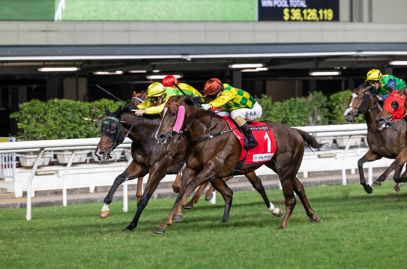 Happy Valley Racing Tips for March 12 - California Touch looks the ...