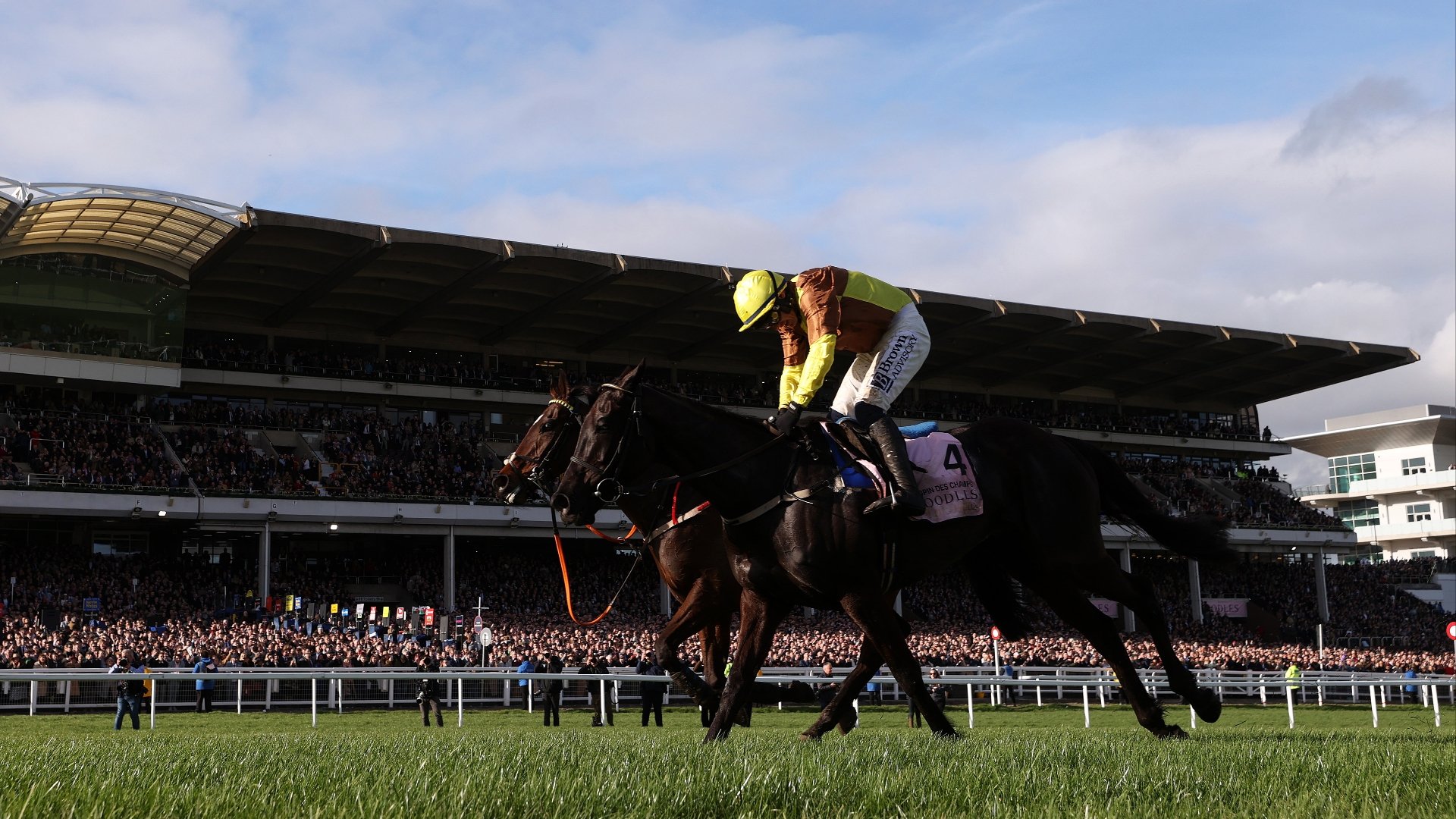 Cheltenham Festival Day 4 Tips | Free tips through the card on Gold Cup day