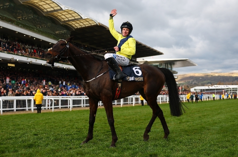 Cheltenham Festival 2025 Day 2 | Results and Photos