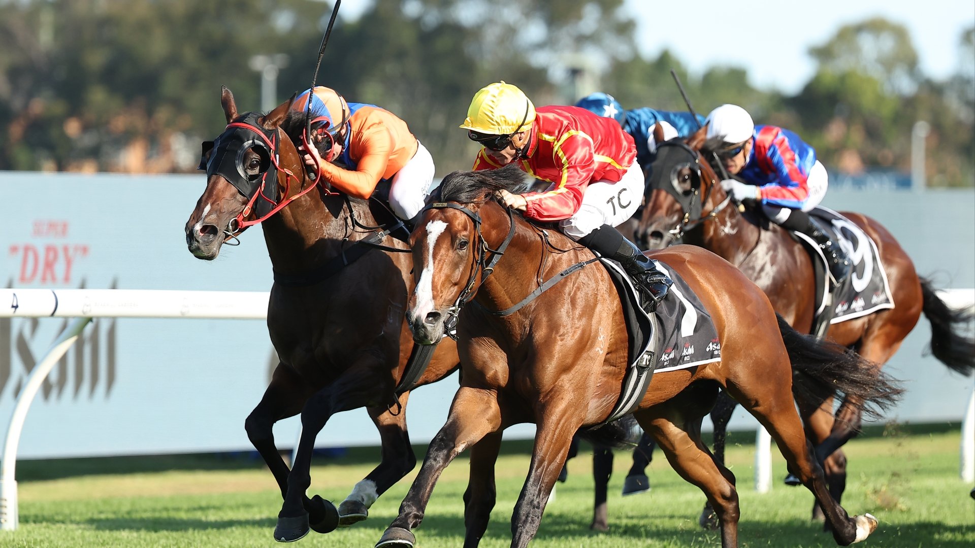 Rosehill Racing Tips for March 15 - Lindermann is third-up and ready to ...
