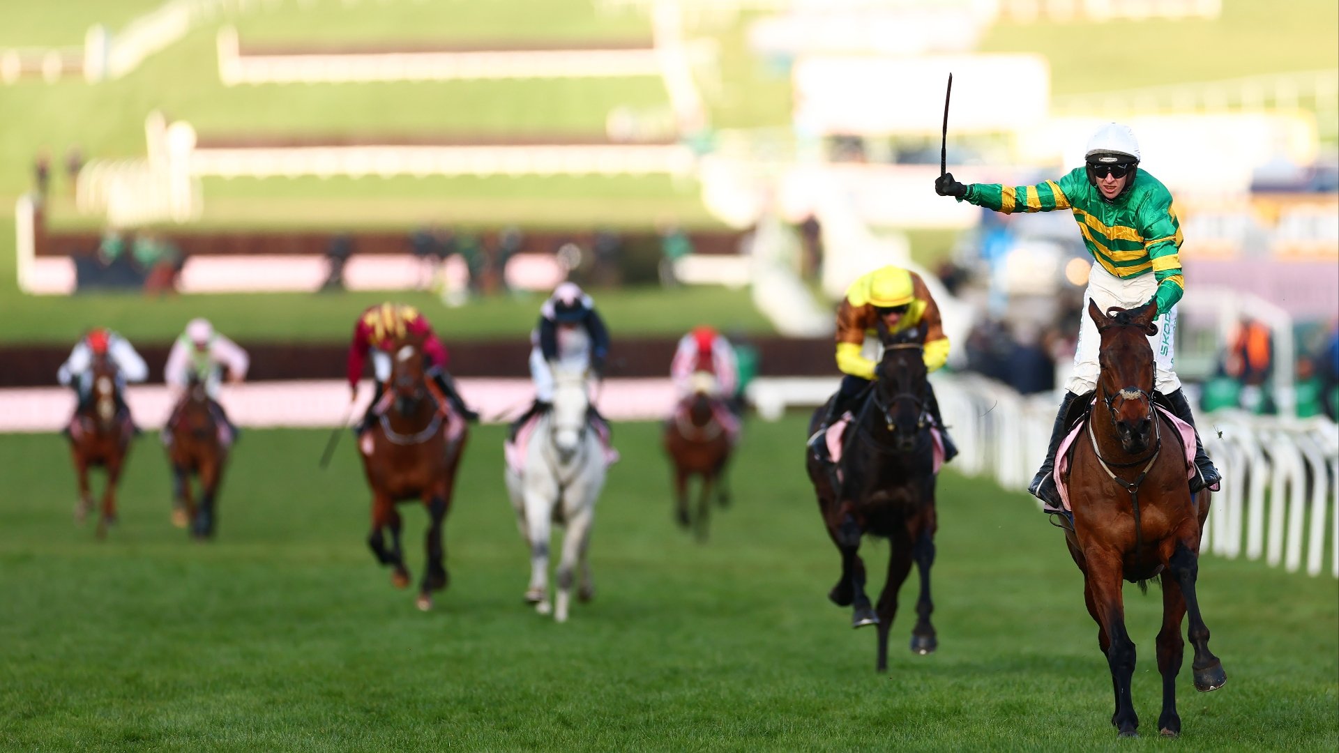 Gavin Cromwell Stable Tour 2025/26 | Key quotes from Gold Cup-winning ...