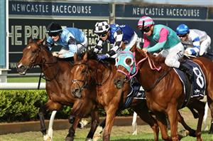 Newcastle Racing Tips for March 20 - Curl Curl ticks all the boxes for victory today