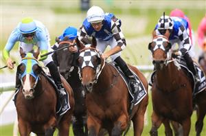 Taree Racing Tips for March 25 - Capzinzi is fourth-up today and ready ...