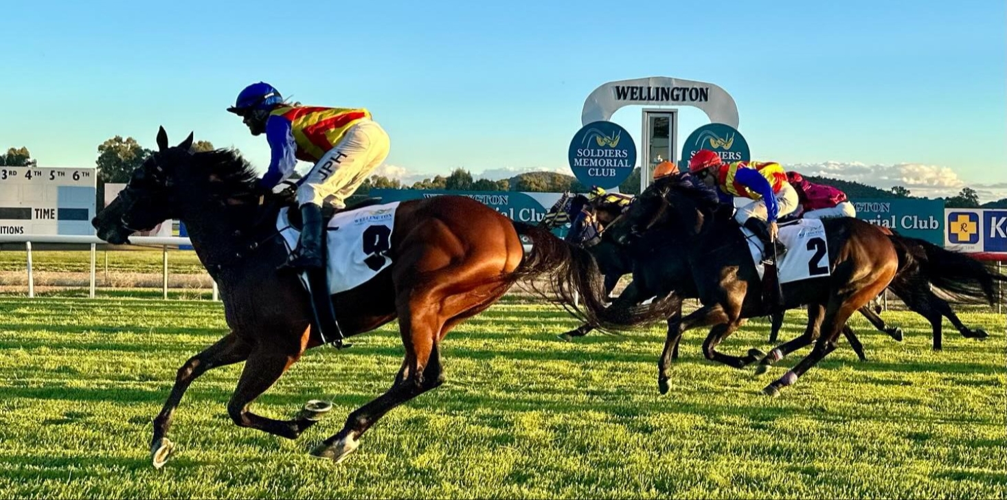 Wellington Racing Tips for March 30 - Don Pedro has the class to claim ...