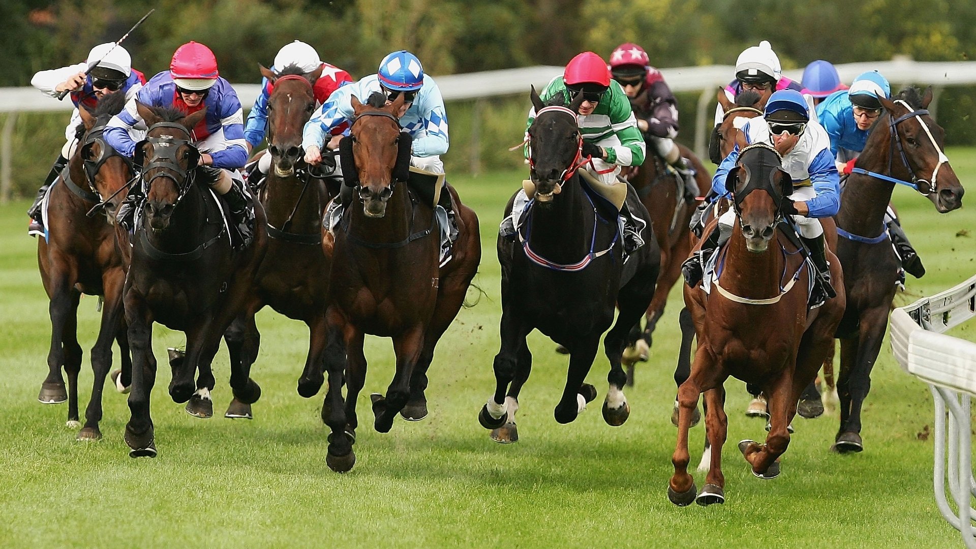 Yarra Glen Racing Tips for March 31- Suances the one to beat in Race 3 ...