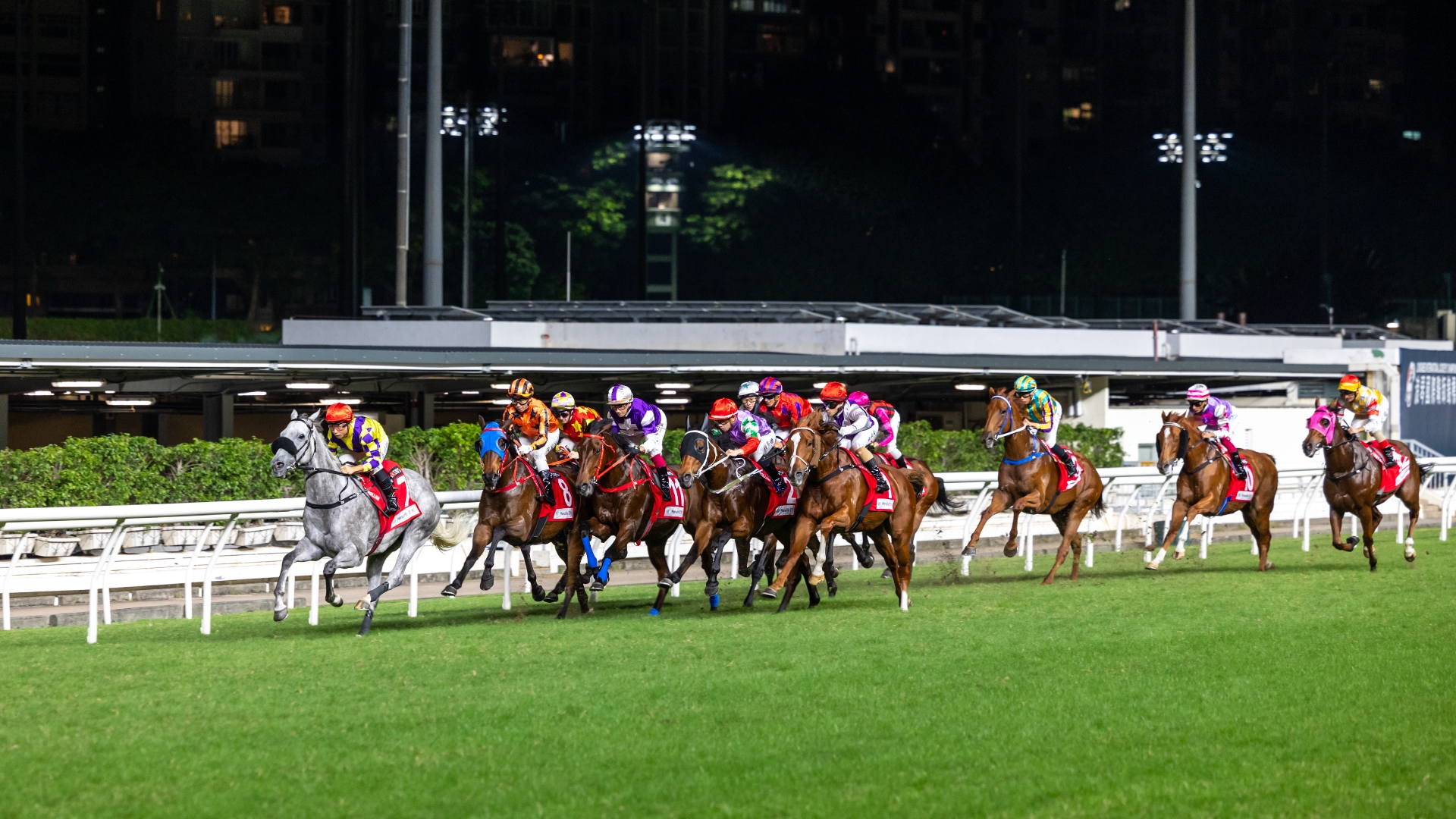 Happy Valley Racing Tips for April 9 - Golden Rise can bounce back tonight