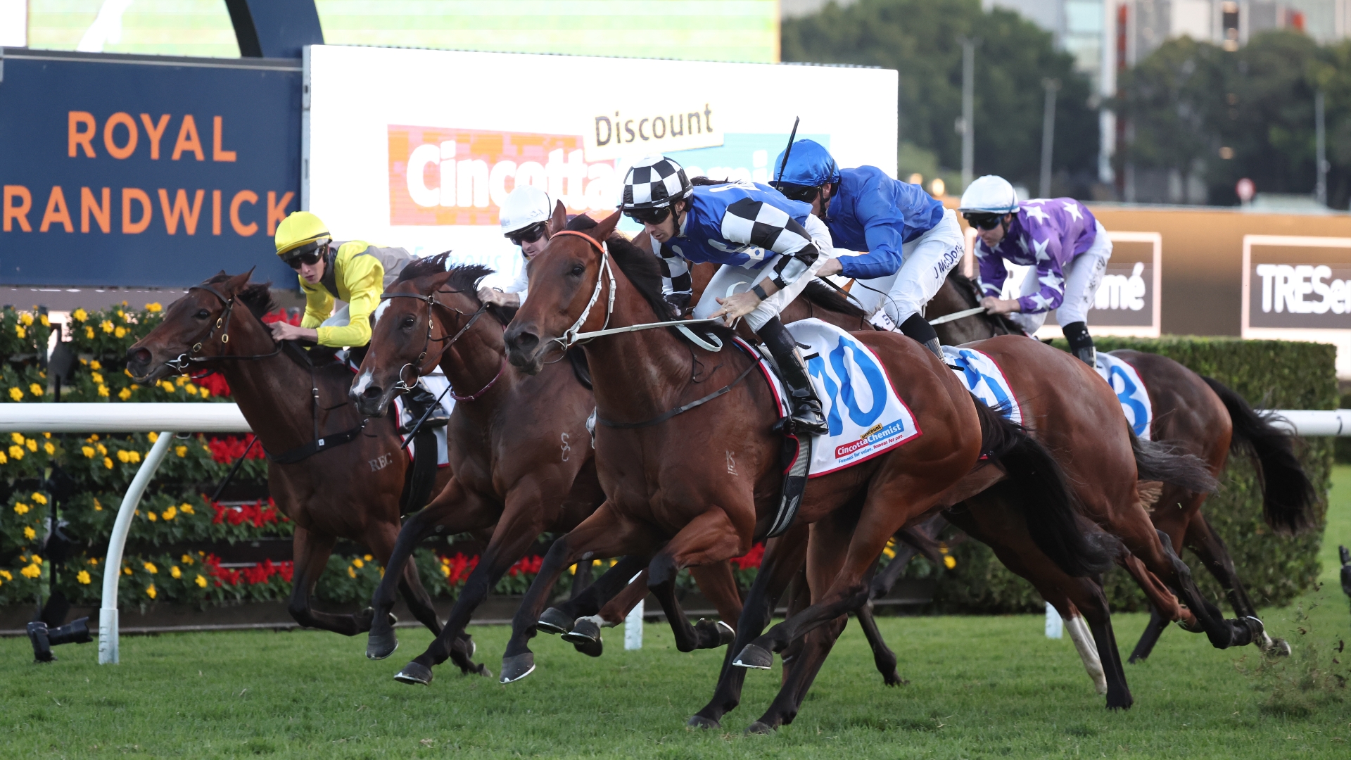 Randwick Racing Tips for April 19 - Swiftfalcon looks poised for a ...