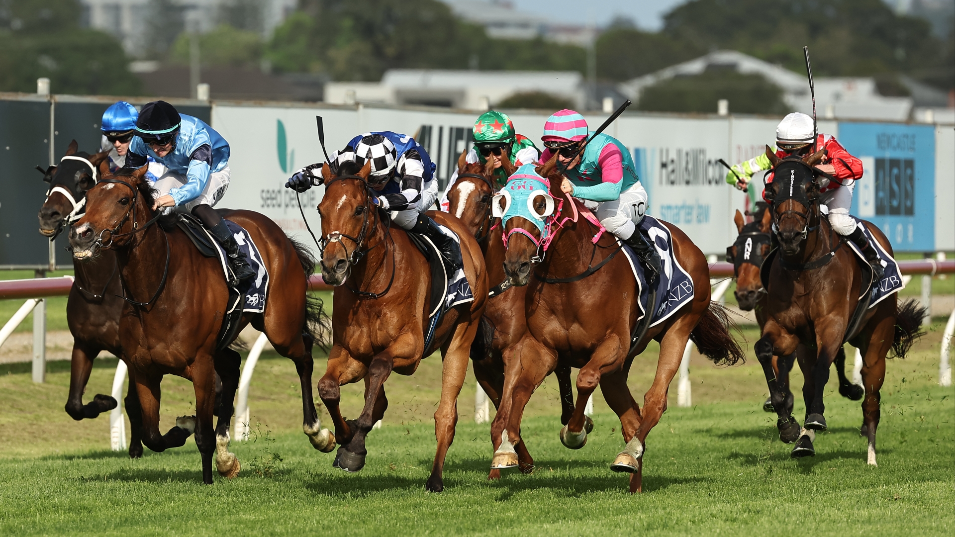 Newcastle Racing Tips for April 23 - Impact Zone is drawn to go one ...