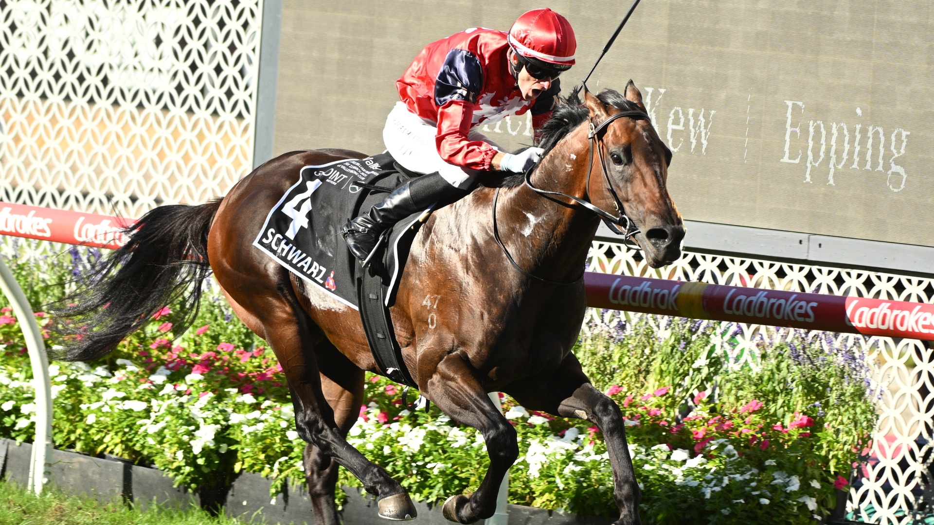 Moonee Valley Racing Tips for April 26- Elouyou to make it back to back ...