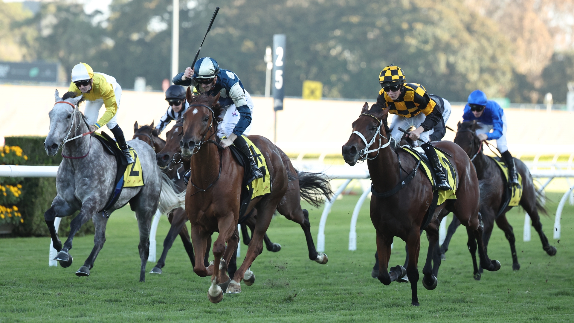 Randwick Racing Tips for April 26 - Flying Bandit ticks all boxes for ...