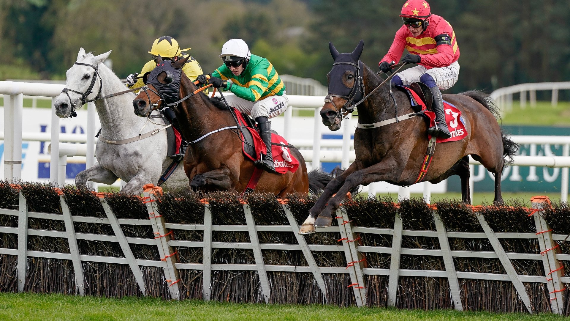 Punchestown Festival 2025 Tips | Three to back on day four