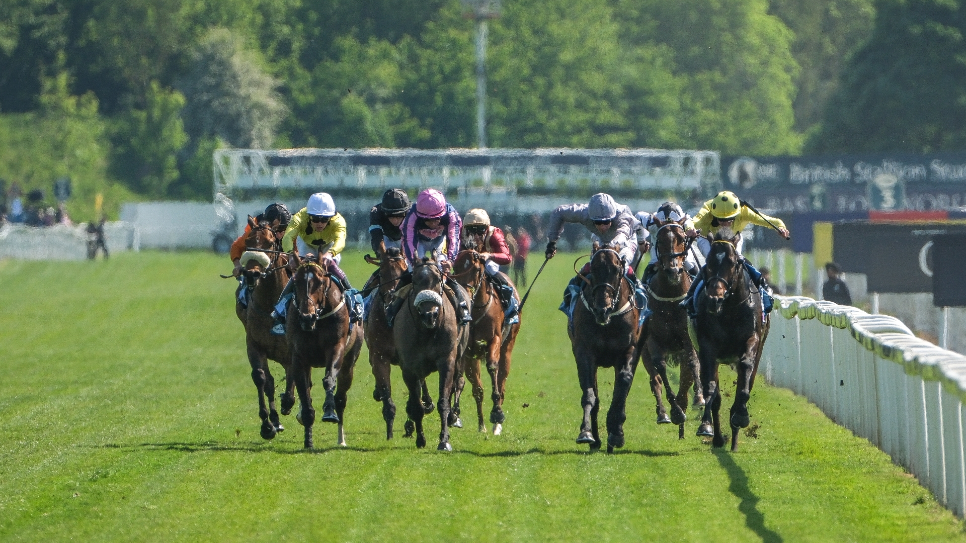 ITV Racing Tips on May 16th | Friday's best bets at York