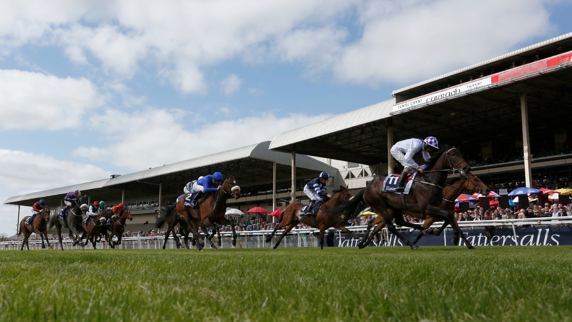 2025 Irish 1000 Guineas Tips | Weld's filly can remain unbeaten with ...