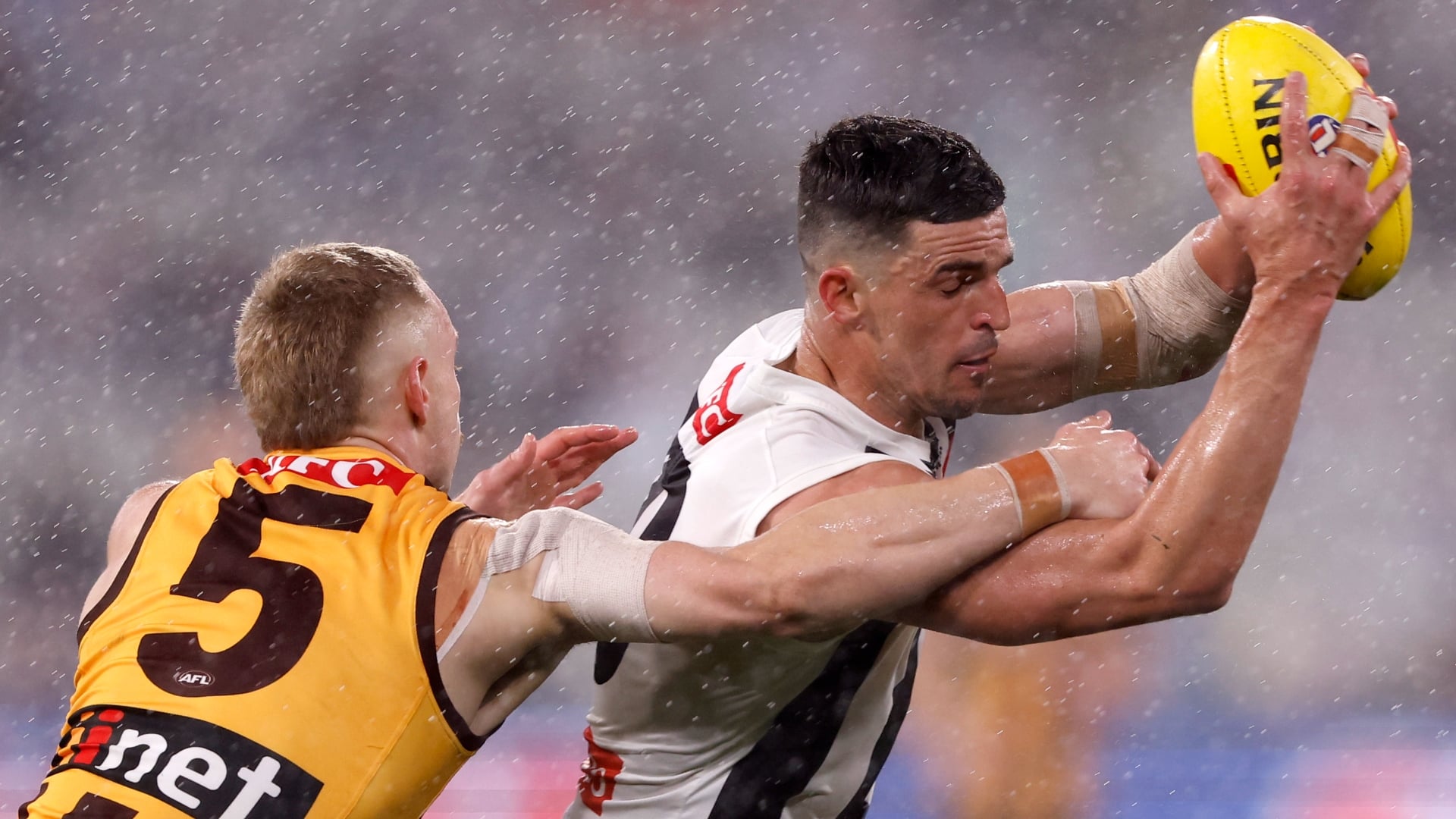 AFL Round 12 Tips & Preview - Best bets for the Round 12 of the AFL ...