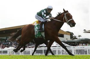 Stradbroke Handicap 2025 - Barrier Draw & Final Field