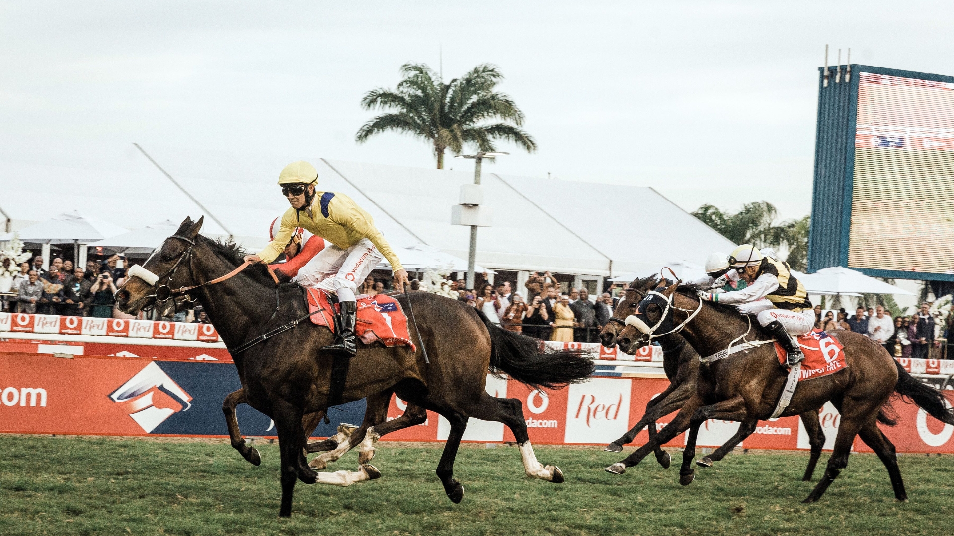 2025 Durban July Runners | 29 remain in the running after latest ...