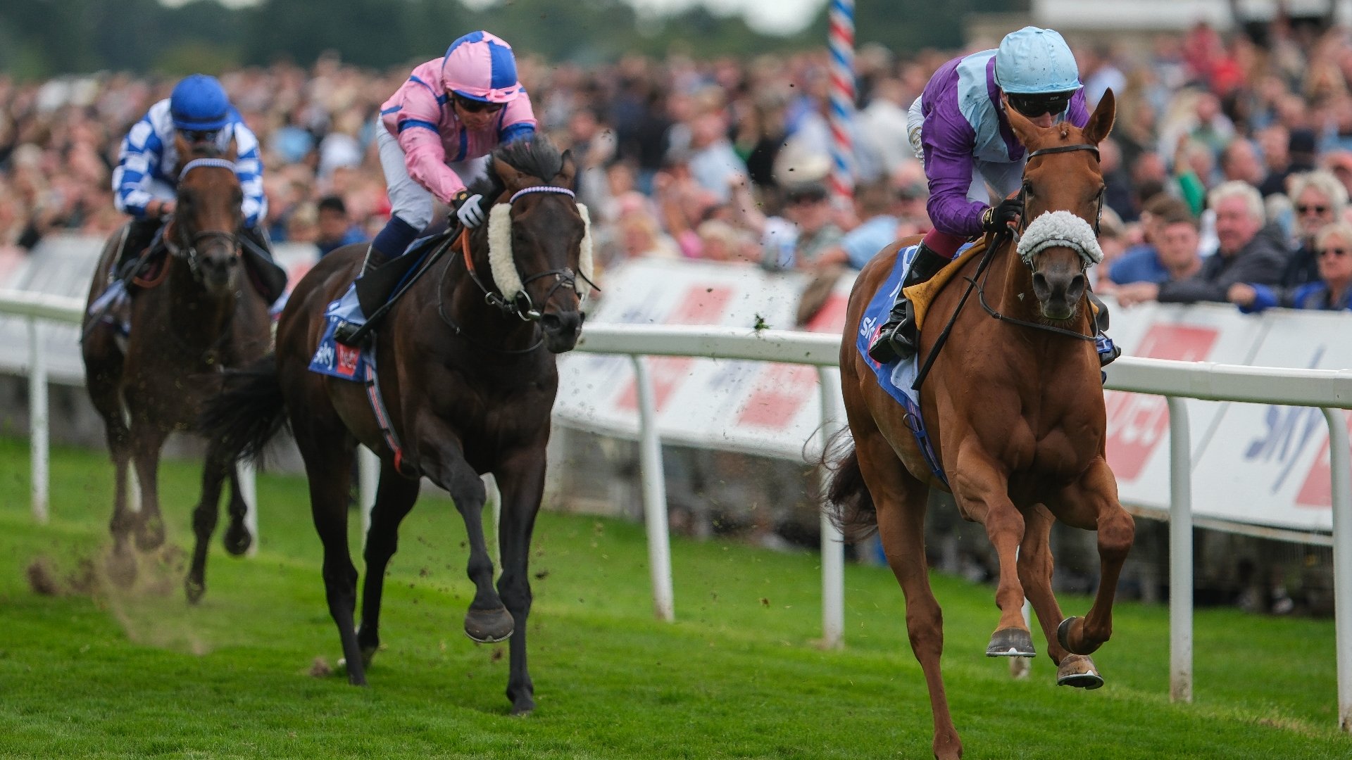 2025 Prince Of Wales's Stakes Tips | Balding's filly can set Ascot ...