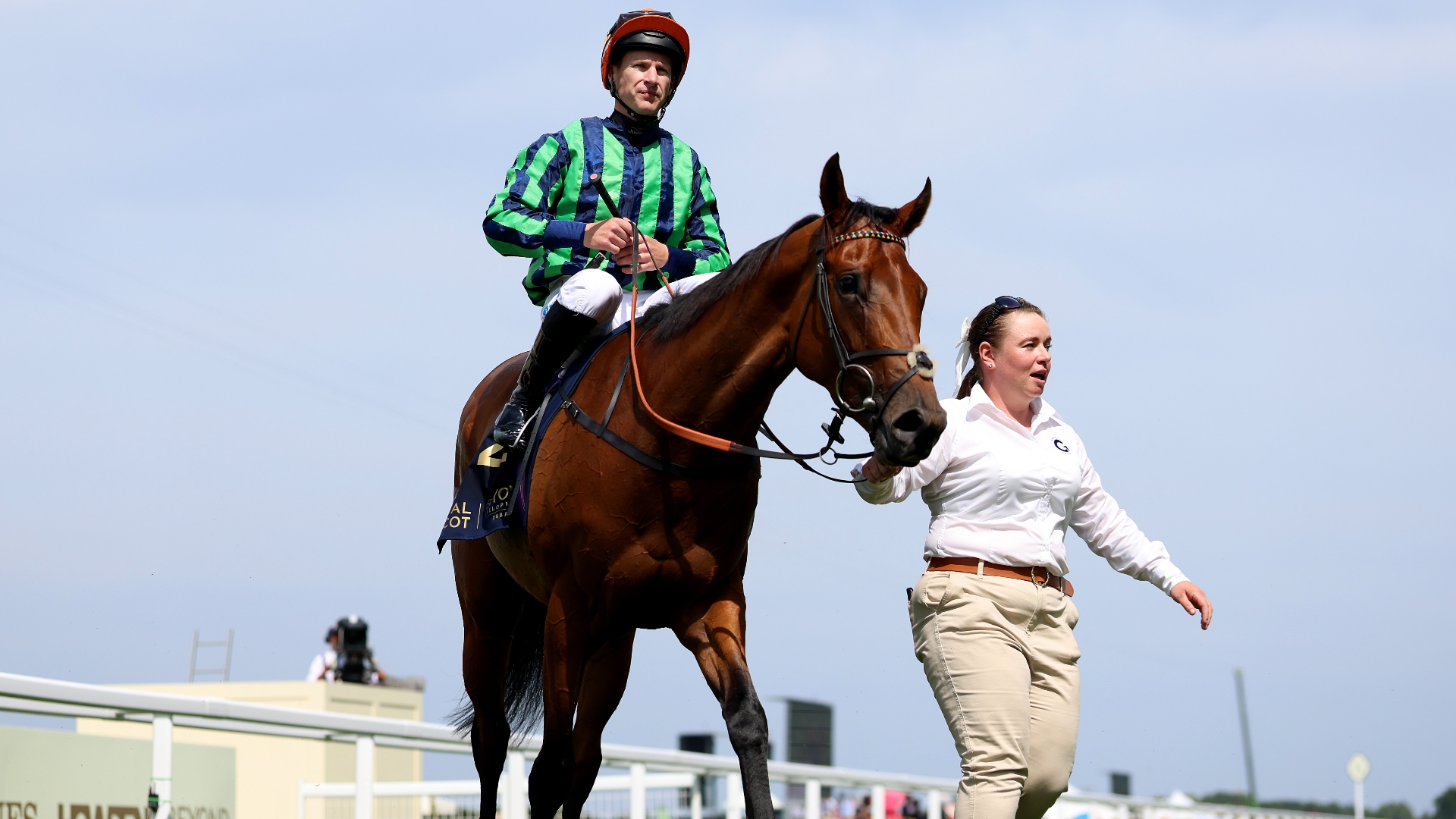 Betting News | Commonwealth Cup proved the most popular race with ...