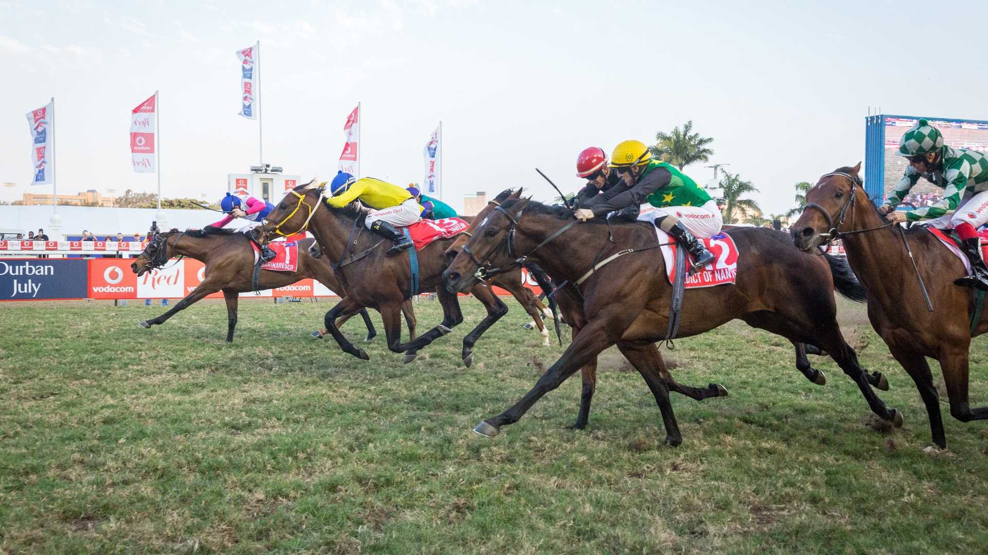 2025 Durban July Runners & Riders - Odds, chances and analysis of each ...