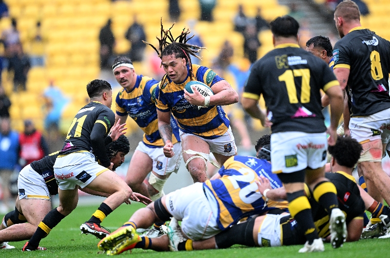 Wellington vs Canterbury Predictions - Wellington backed for win in ...