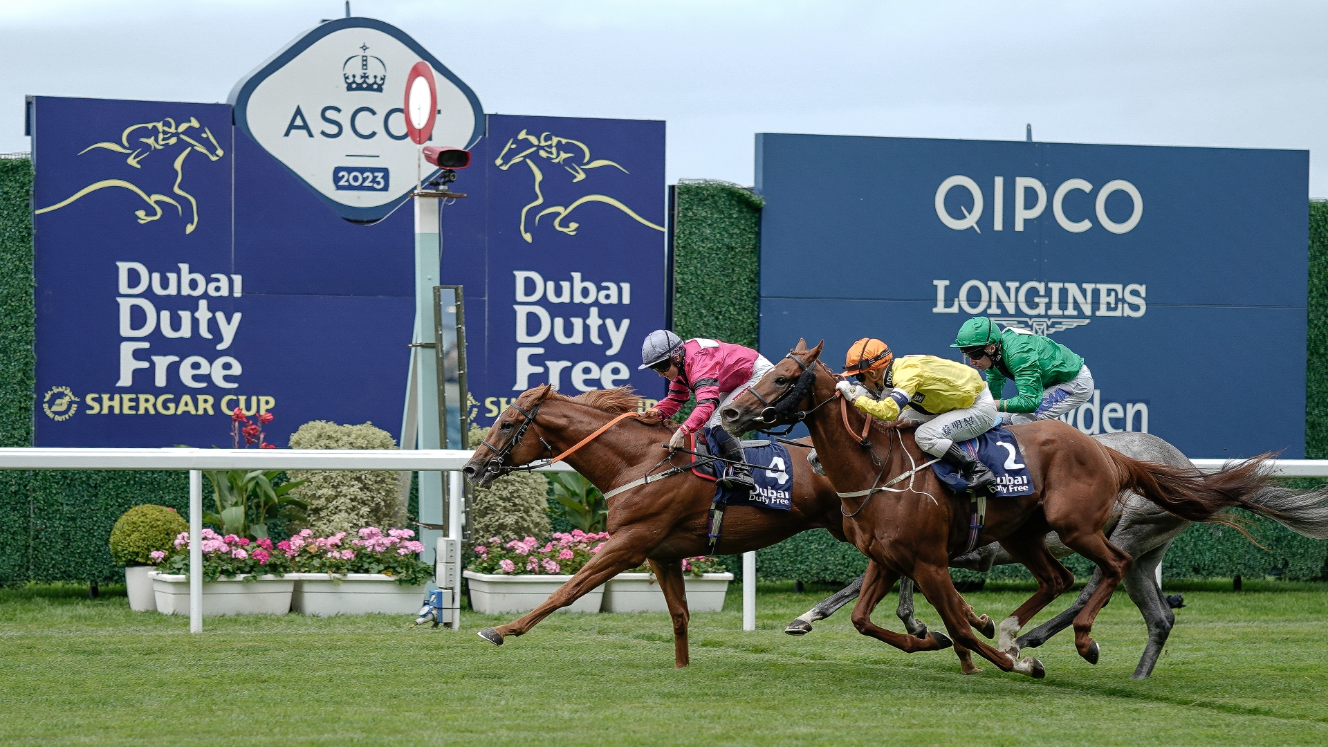 Shergar Cup 2025 | Debutantes take centre-stage at Ascot