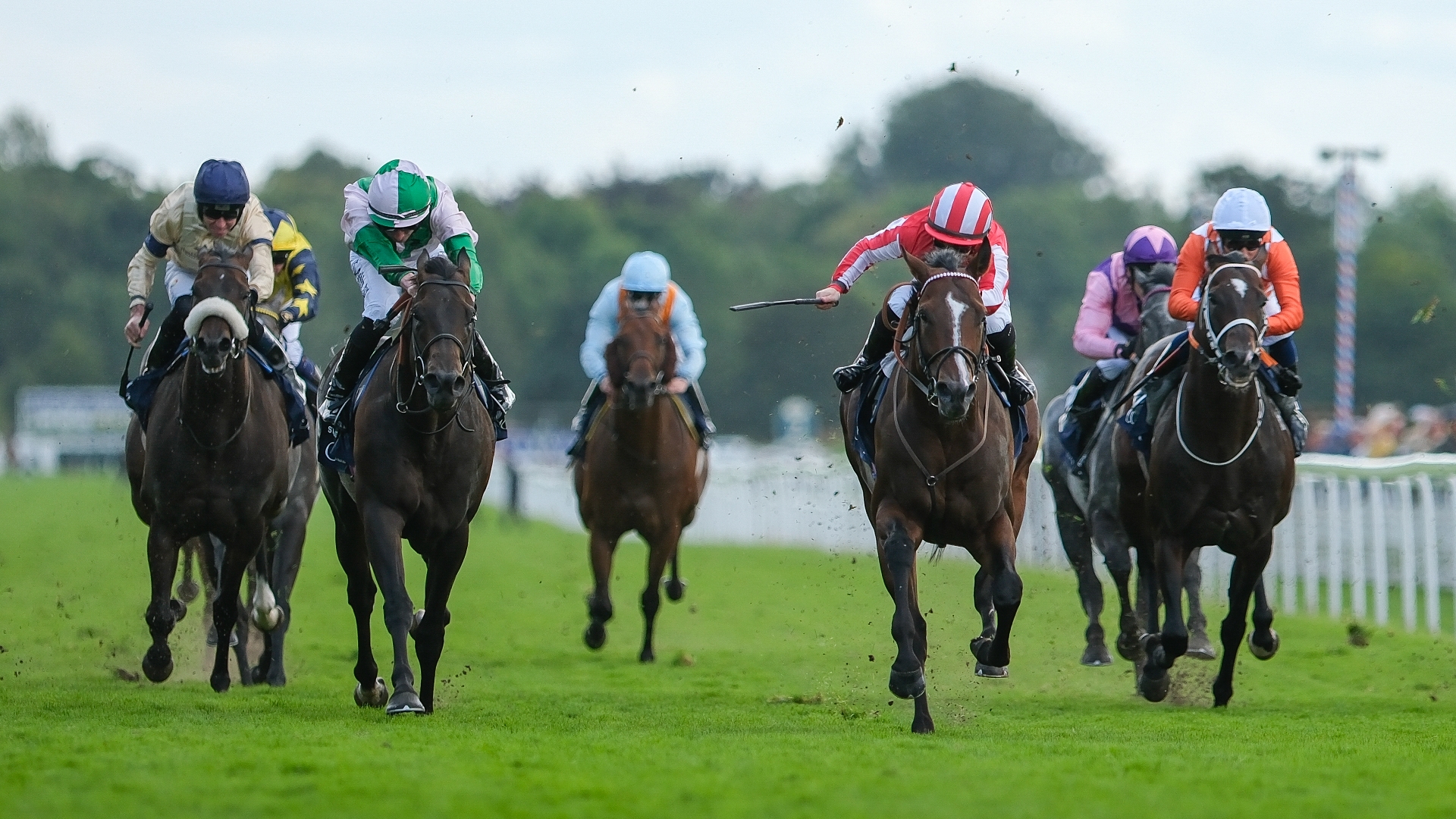 2025 Nunthorpe Stakes Tips | Walker's star sprinter overpriced in ante ...