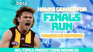 Carlton Blues vs Port Adelaide Power AFL Round 23 Tips ...