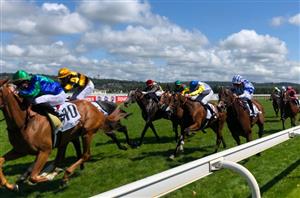 France Horse Racing | French Racing Tips | France Racing News and Tips.