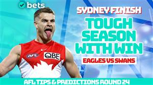 Western Bulldogs vs Fremantle Dockers AFL Round 24 Tips - Fremantle to ...