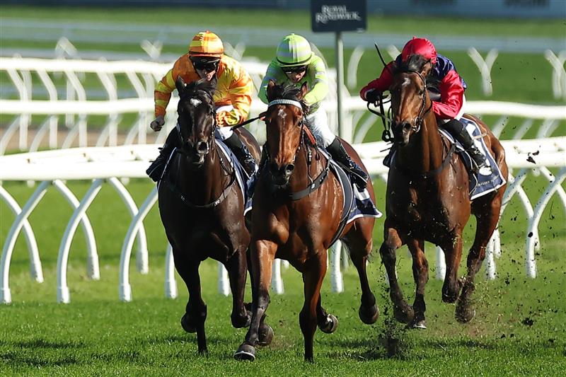 Through the Lens: Winx Stakes Day 2025