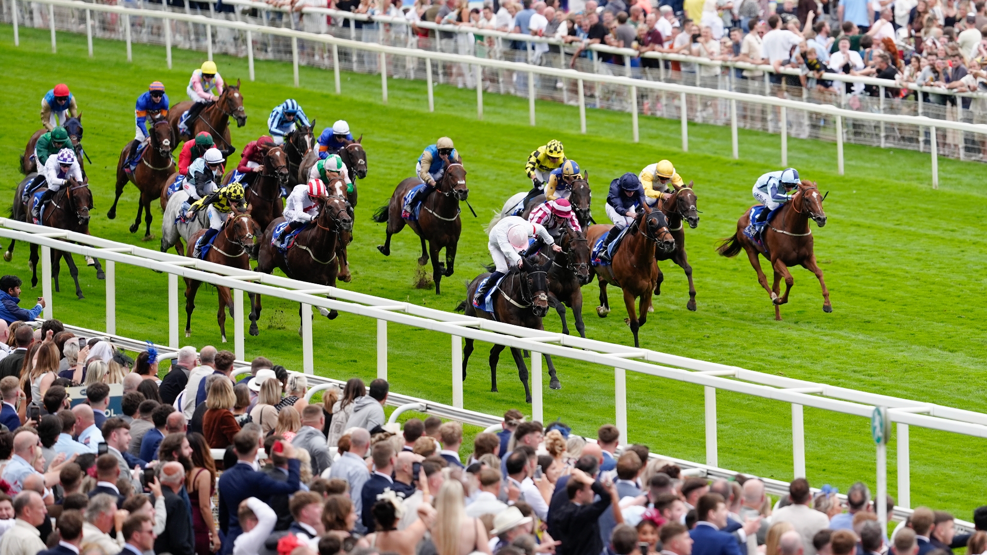 2026 Ebor Festival News | Dates and vital information.